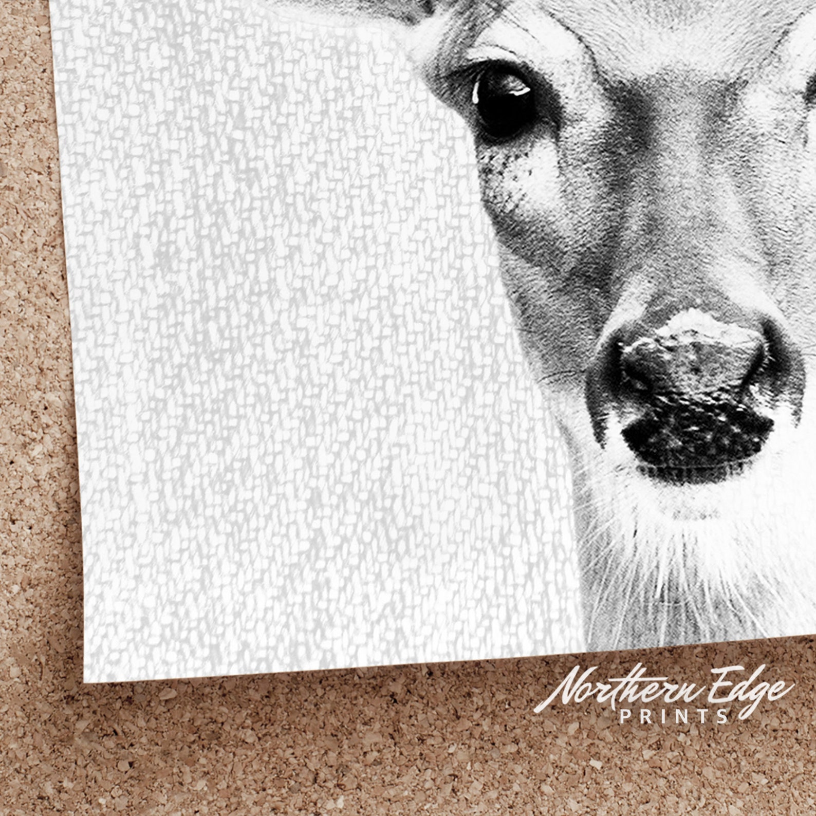 Deer print deer art doe art doe print forest animal print | Etsy