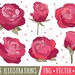 Hand Drawn Rose Clipart Images Rose Digital Stamps Flower | Etsy