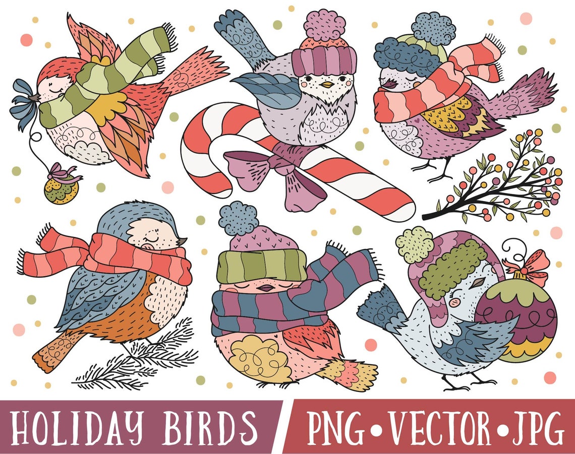 Winter Birds Clipart Holiday Bird Clipart Images Cute Bird - Etsy
