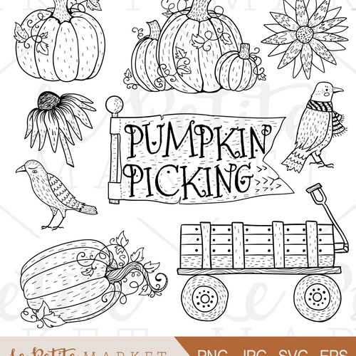 Hand Drawn Pumpkin Clip Art Set Halloween Pumpkin Clipart - Etsy