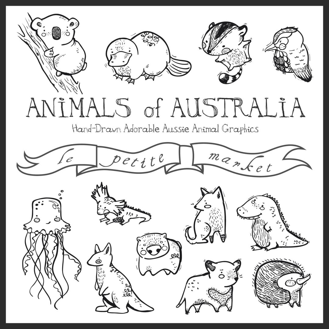 Cute Hand Illustrated Australian Animals Digital Clipart Graphics ...