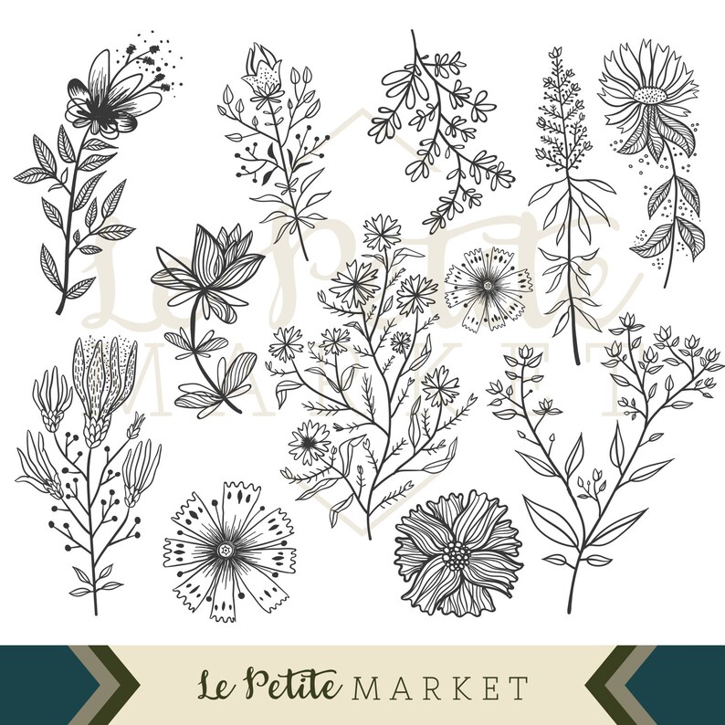 Wildflower Clip Art Set Flower Illustration Clipart Hand | Etsy