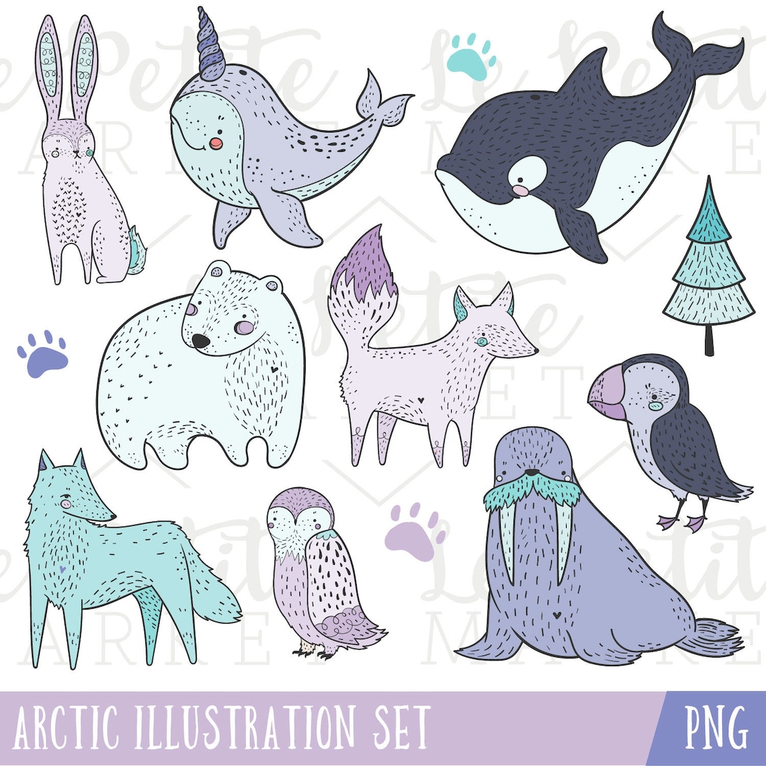 Arctic Animals Clip Art Set, Narwhal Clip Art, Polar Bear, Walrus, Wolf ...