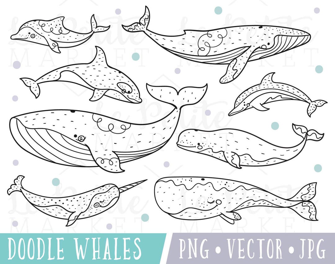 Cute Whale Clipart Images, Cute Porpoise Clipart, Whale Digital Stamps ...