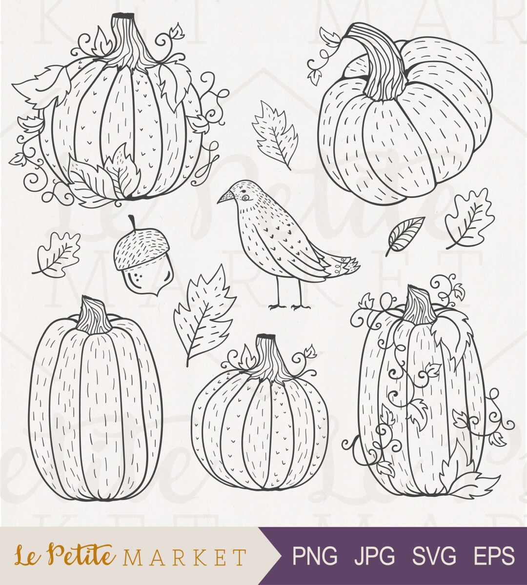 Hand Drawn Pumpkin Clip Art Set, Halloween Pumpkin Clipart, Fall ...