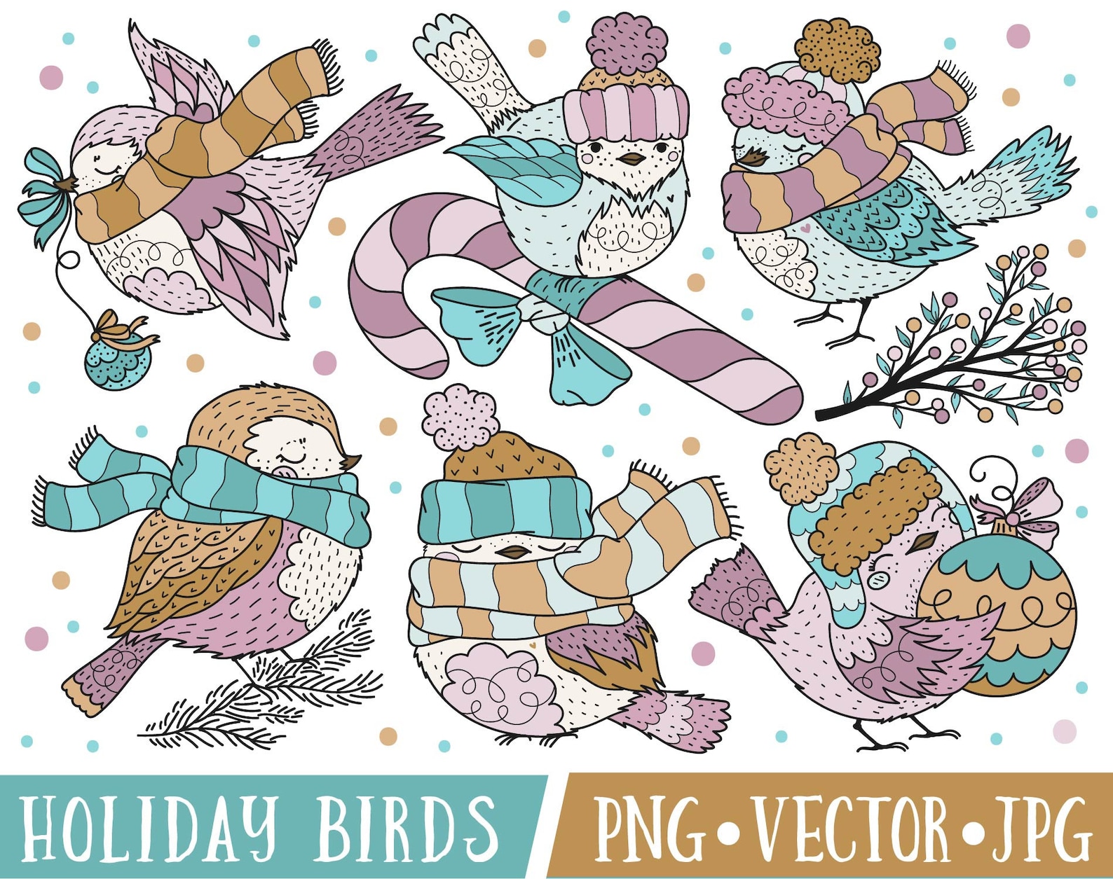 Winter Birds Clipart Holiday Bird Clipart Images Cute Bird - Etsy