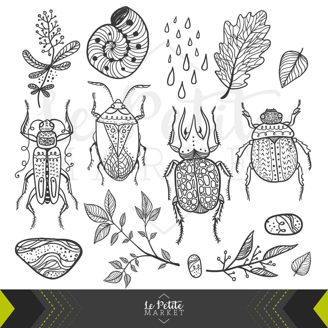 Hand Drawn Beetle Nature Insect Clip Art Set Digital Beetles - Etsy