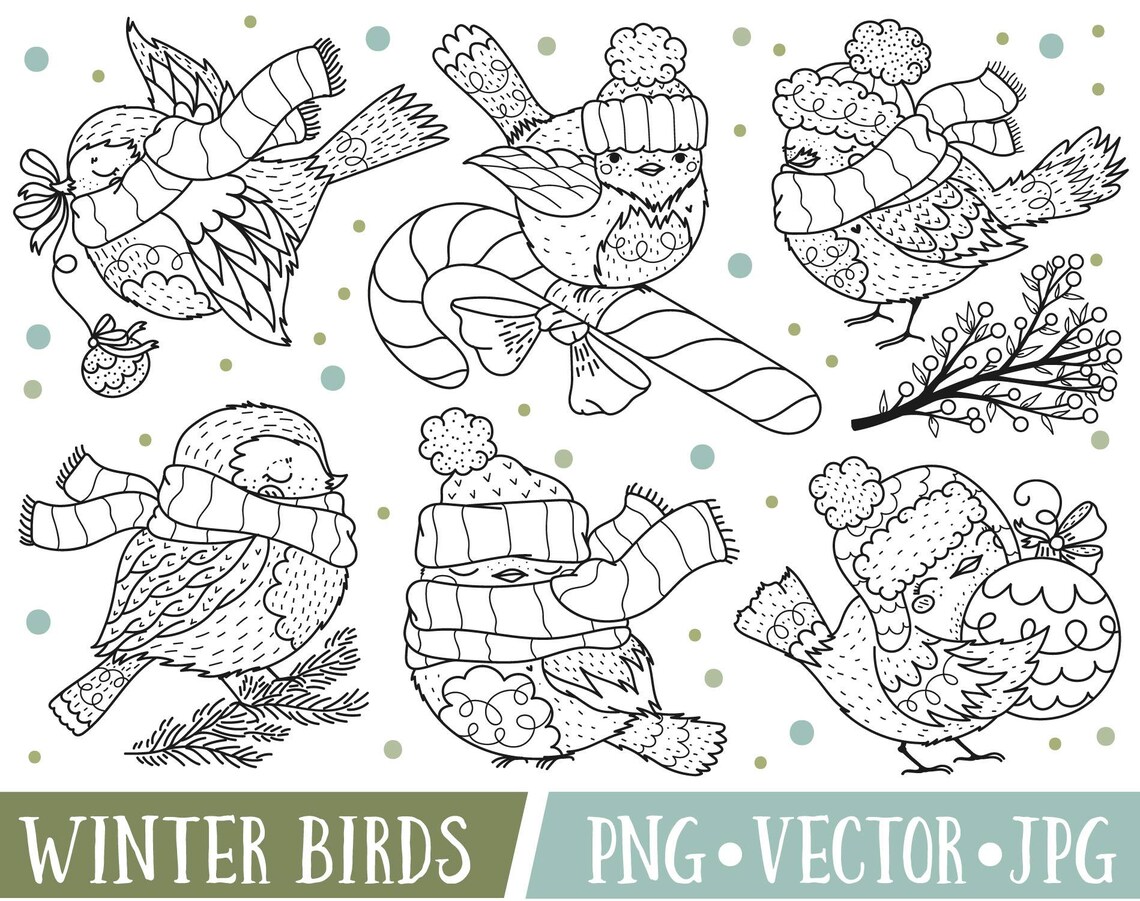 Winter Birds Clipart, Holiday Bird Clipart Images, Cute Bird Digital ...