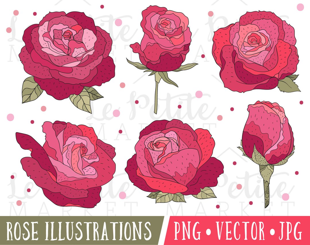 Hand Drawn Rose Clipart Images, Rose Digital Stamps, Flower Digital ...