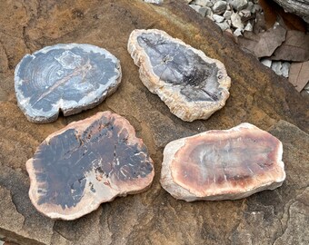 Agatized Limb Cast - Etsy