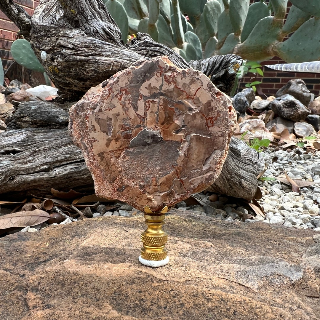 Natural Petrified Wood Lamp Finial Finials, Unique Rustic Southwest ...