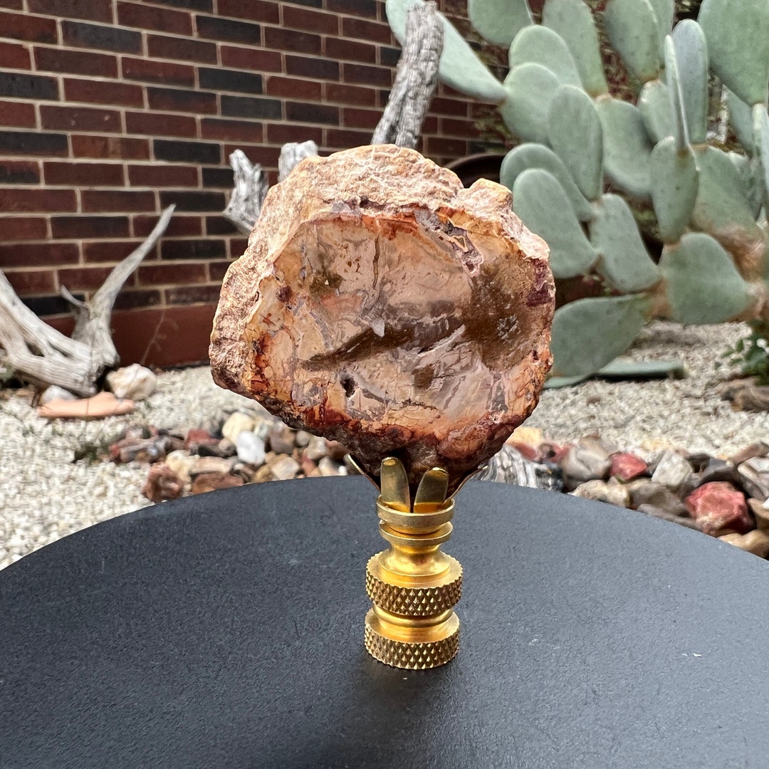Unique Rustic Southwest Style Hand Polished Natural Petrified Wood ...