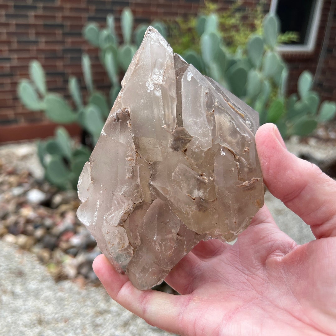 Natural 5" Elestial Quartz Crystal Lightbrary, Light Smoky, Crystal ...