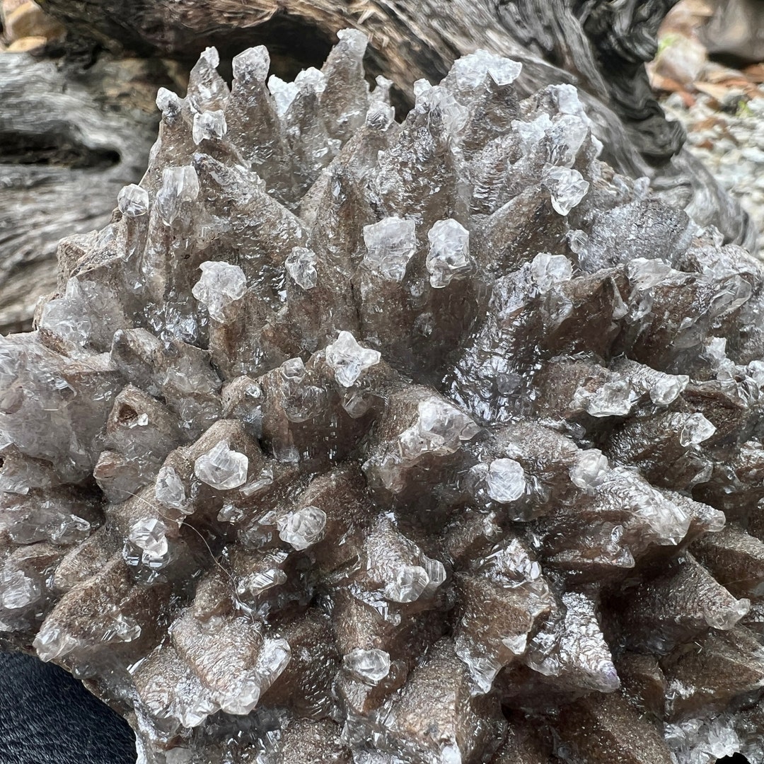 YEM DC20 Huge 1.6 LBS Natural Fluorescent Chocolate Aragonite Dogtooth ...