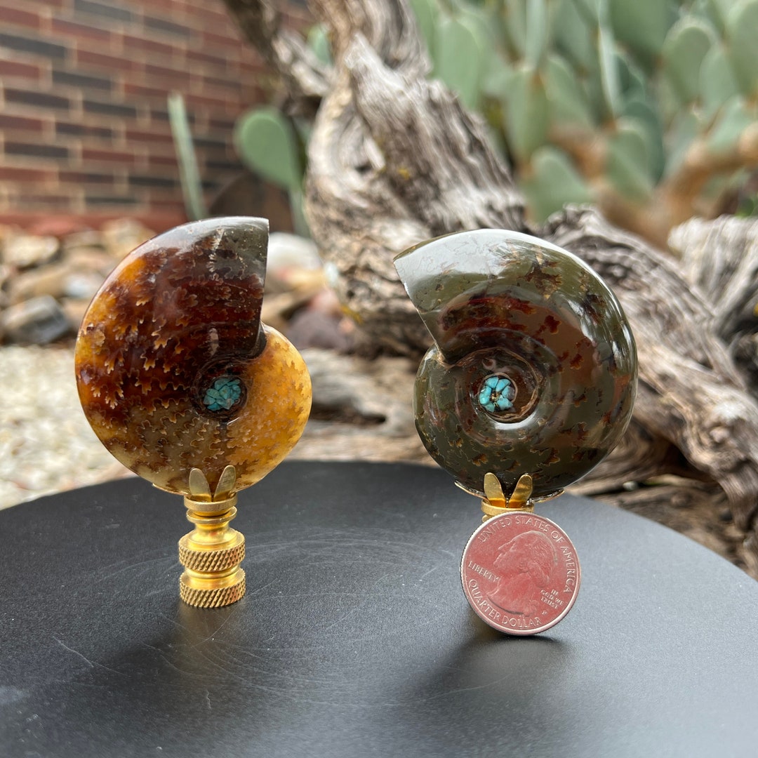 Turquoise Inlaid Ammonite Fossil Lamp Finial: Rustic Beach Decor - Etsy