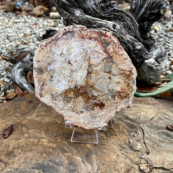 Agatized Limb Cast - Etsy