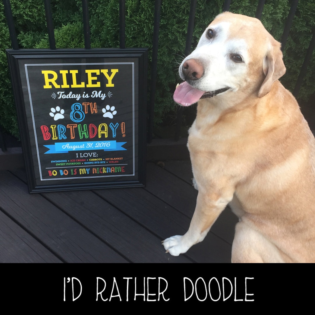 Dog Chalkboard Sign - Birthday Sign for Dog - Cat - Pet - Digital File ...
