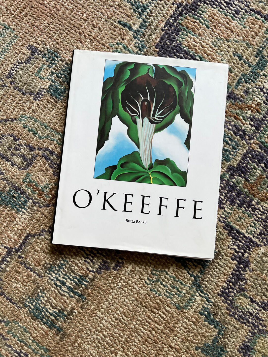 Georgia Okeeffe 1887-1986 Flowers in the Desert Art Book - Etsy