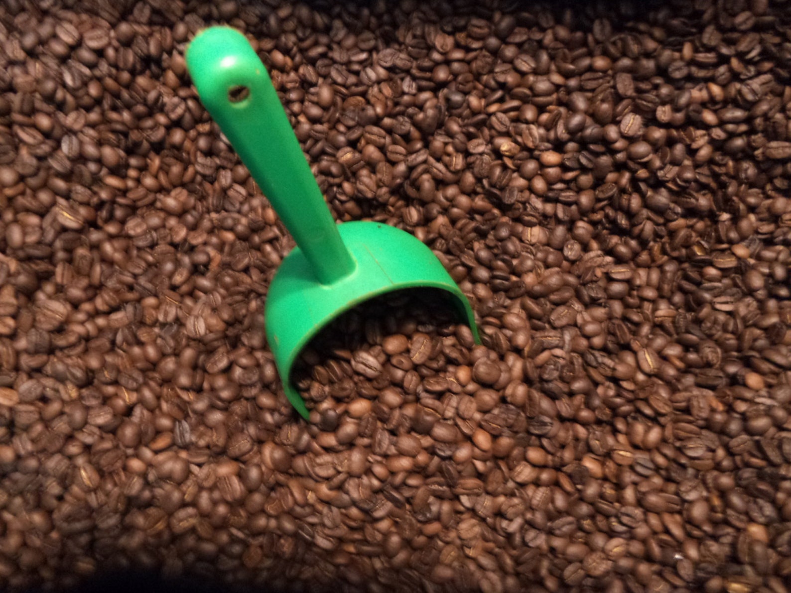 Rainforest Crunch Flavored Coffee Fresh Roasted Coffee Beans Java Jane ...