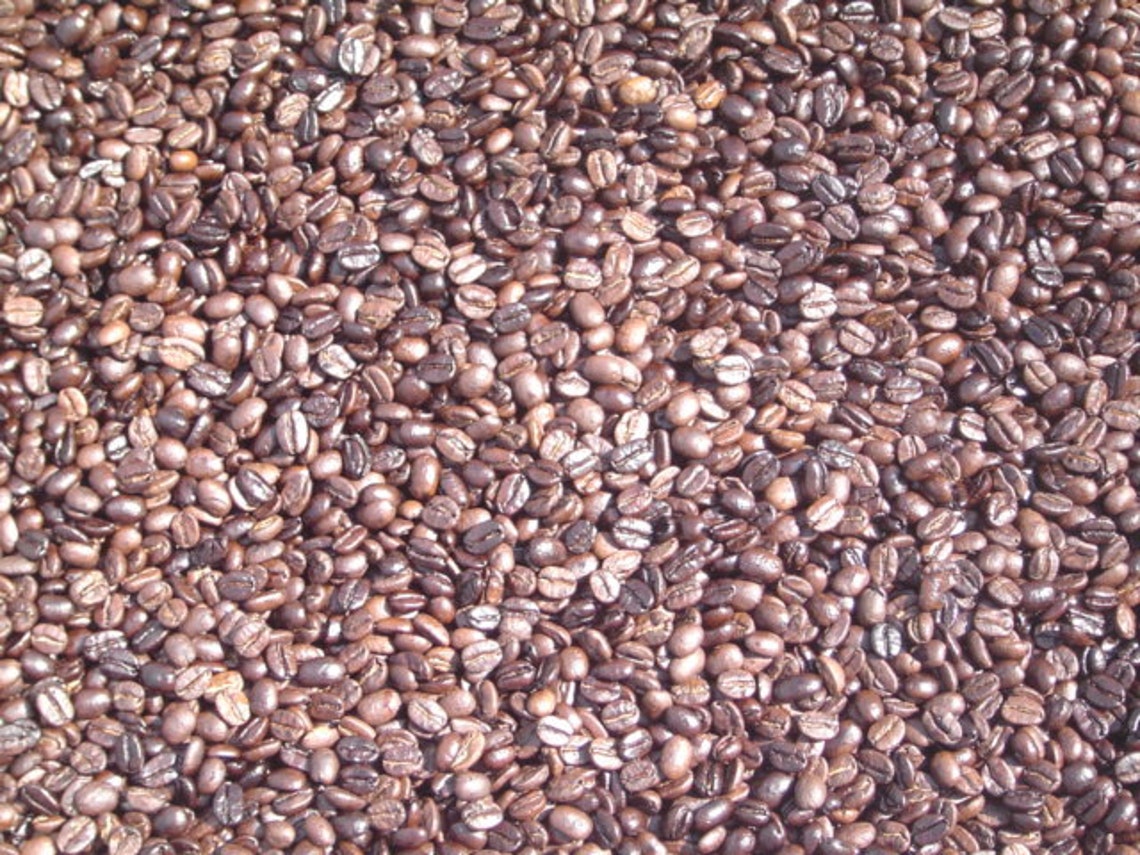 Colombian Fresh Roasted Coffee Beans Java Janes 2 Oz. 16 Oz. - Etsy