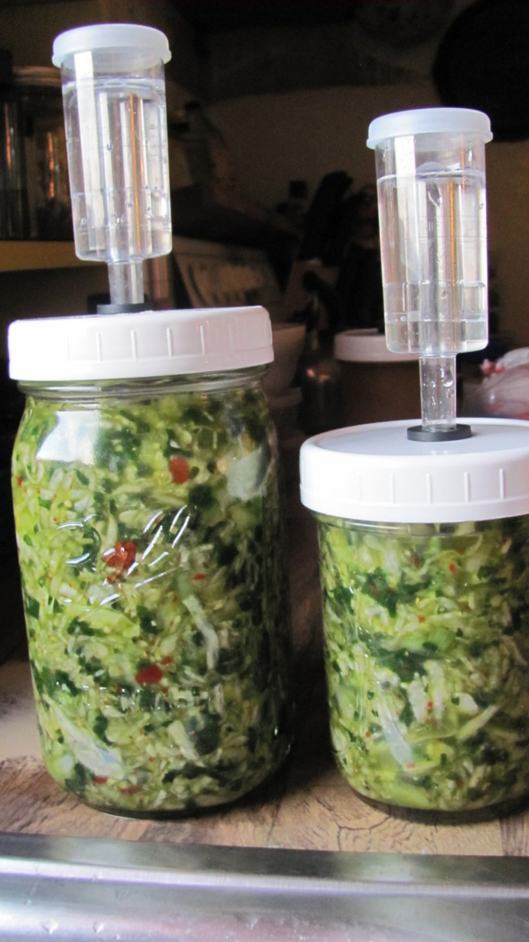Foolproof Fermentation 3 Airlock Lids for Mason Jars - Etsy