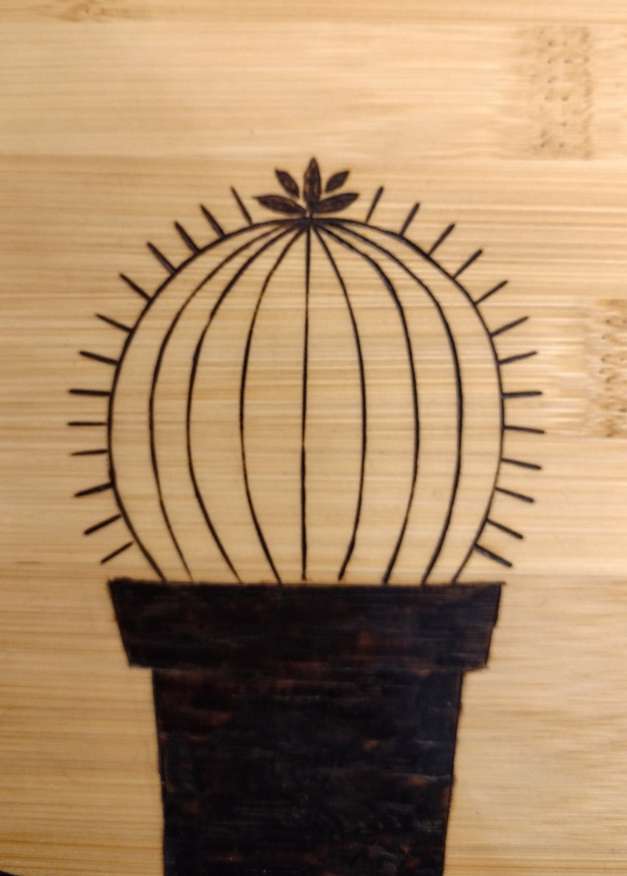 Hand-made Pyrography Bamboo Cutting Board Cactus - Etsy