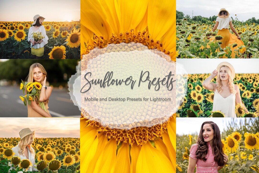 Sunflower Lightroom Presets, Mobile & Desktop, 10 Unique Styles ...