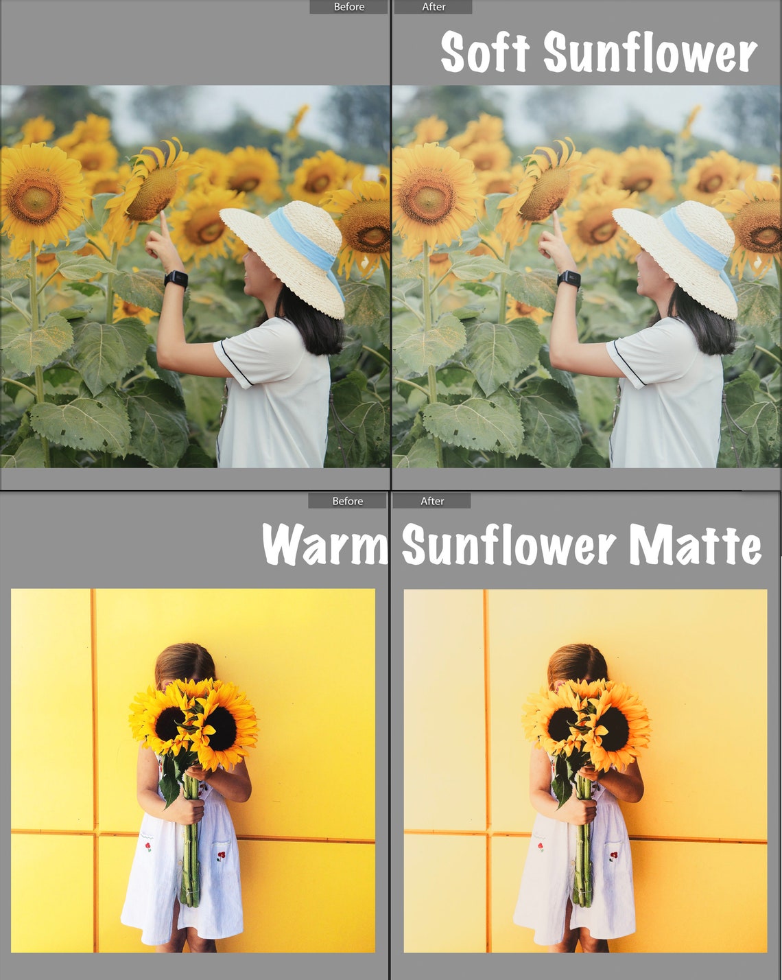 Sunflower Preset for Lightroom Editing, Both Mobile Lightroom and ...