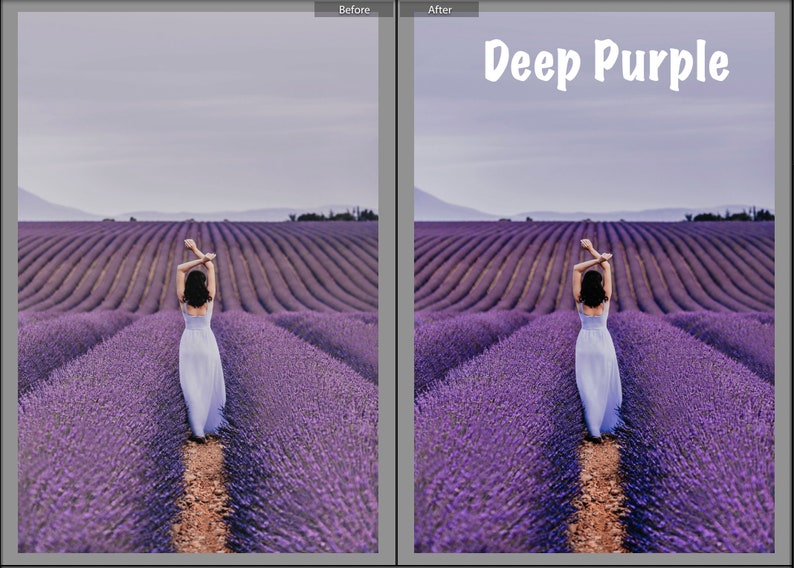 Royal Purple Lavender and Jasmine Lightroom Presets Bundle of 10 for ...