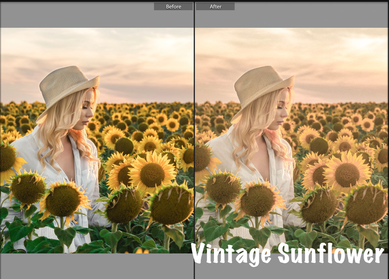 Sunflower Lightroom Presets, Mobile & Desktop, 10 Unique Styles ...