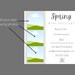 Spring Mini Sessions Template for Canva, Fully Editable Marketing ...