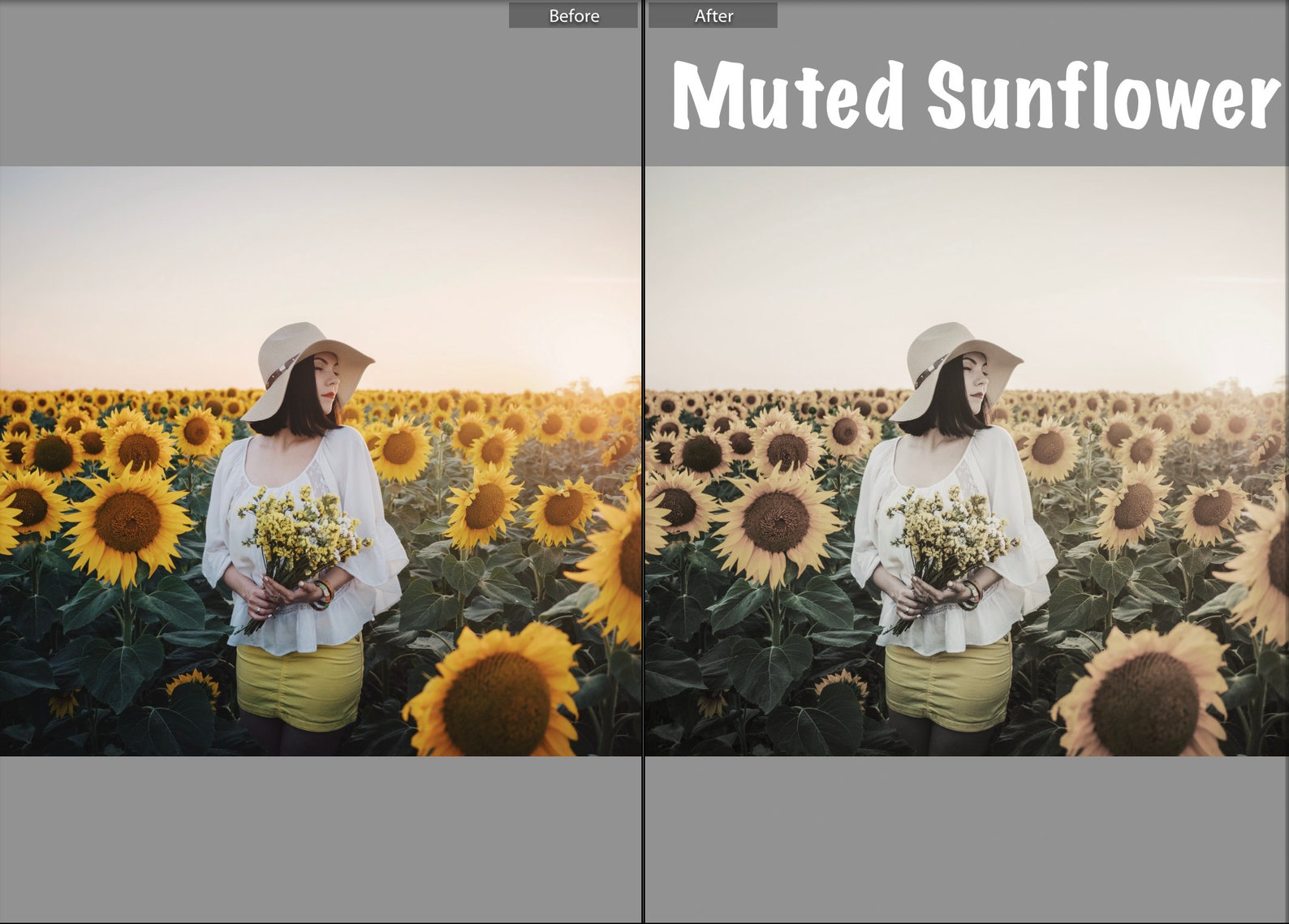 Sunflower Preset for Lightroom Editing, Both Mobile Lightroom and ...
