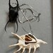 Shell Necklace - Etsy