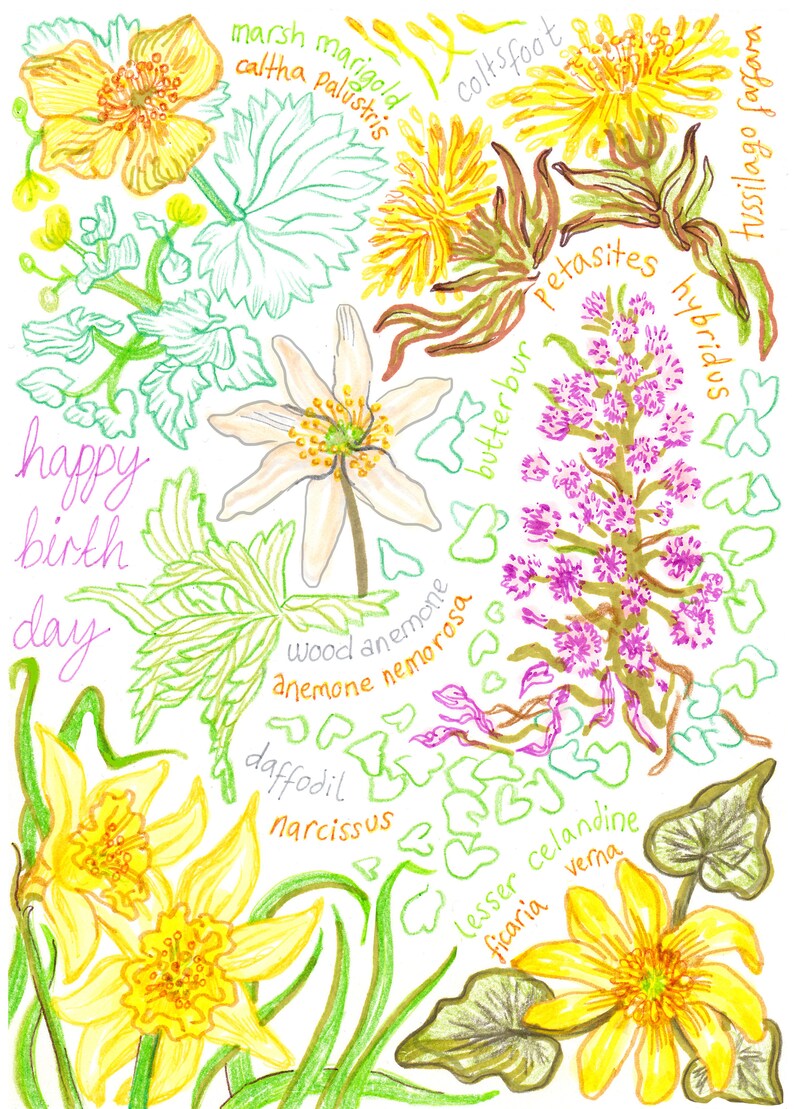 Spring Flowers Birthday Card - Etsy