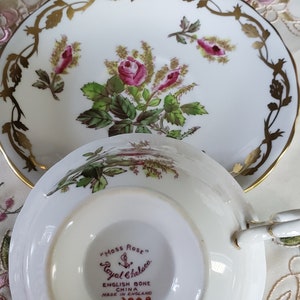 RARE Vintage Royal Chelsea "moss Rose" Handpainted Golden Teacup and ...