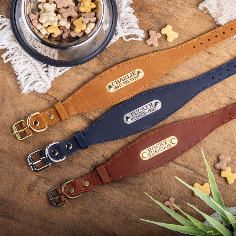 Wide Whippet Collars - Etsy UK