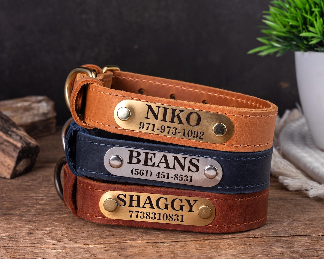 Personalized Engraved Leather Dog Collar, Dog Collar With a Nameplate ...