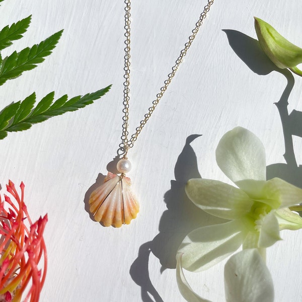 Sunrise Shell - Etsy