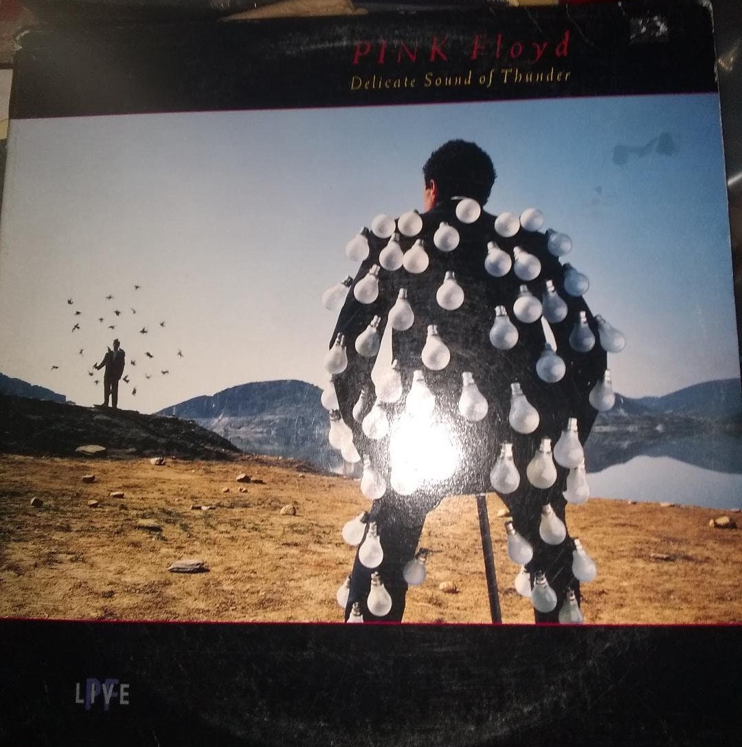 Pink Floyd the Delicate Sound of Thunder Live Dbl Vinyl Record Album Lp ...