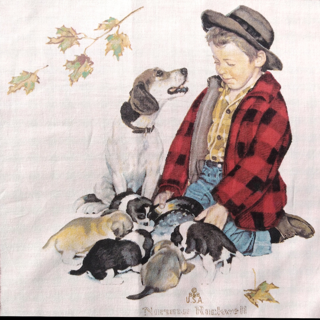 Pride of Parenthood by Norman Rockwell Vintage Souvenir Handkerchief 21 ...