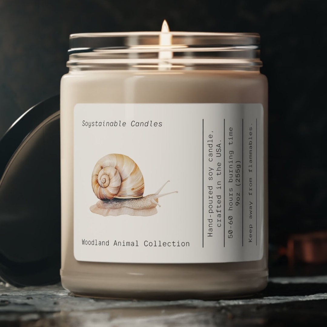 Woodland Snail Soy Candle | 9oz | Slow & Steady Vibes | Whimsical Gift ...