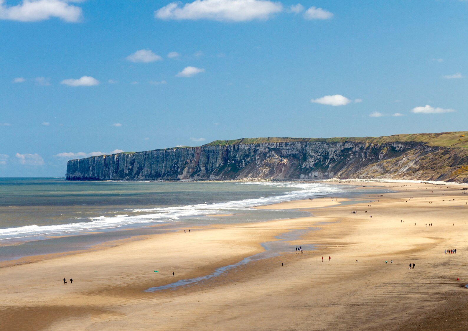 Bempton Cliffs Yorkshire Coast North Yorkshire Colour - Etsy