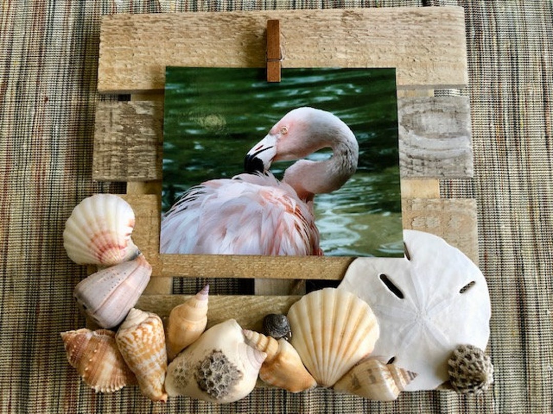 Beachy Photo Frame - Etsy
