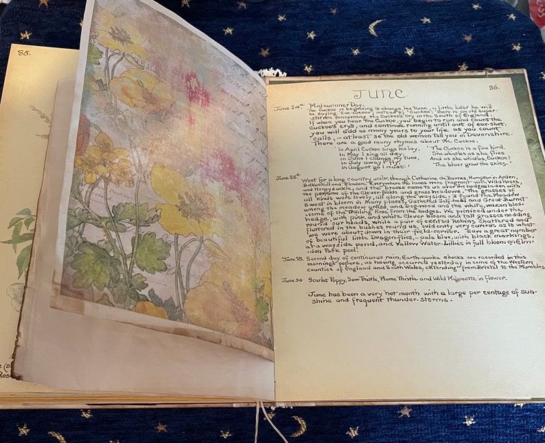 Junk Journal Using the Month of June Pages From Diary of an Edwardian ...