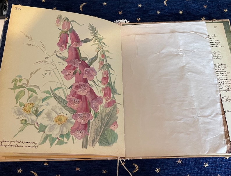Junk Journal Using the Month of June Pages From Diary of an Edwardian ...