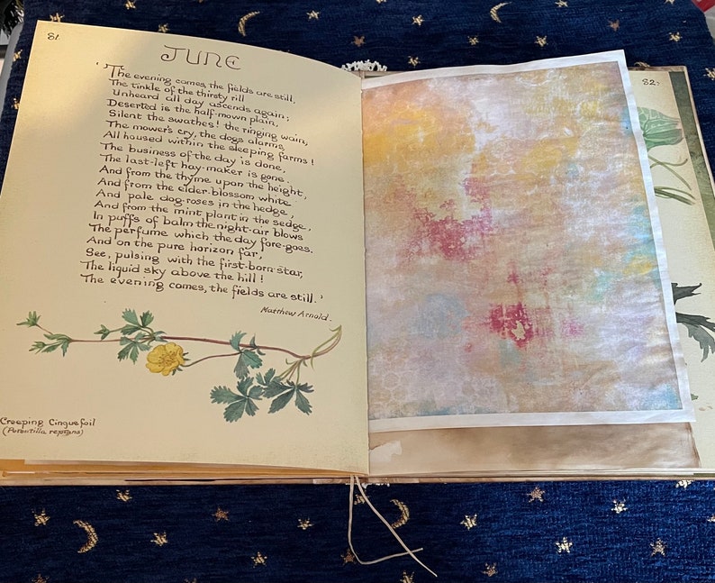 Junk Journal Using the Month of June Pages From Diary of an Edwardian ...
