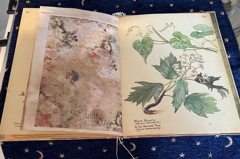 Junk Journal Using the Month of June Pages From Diary of an Edwardian ...