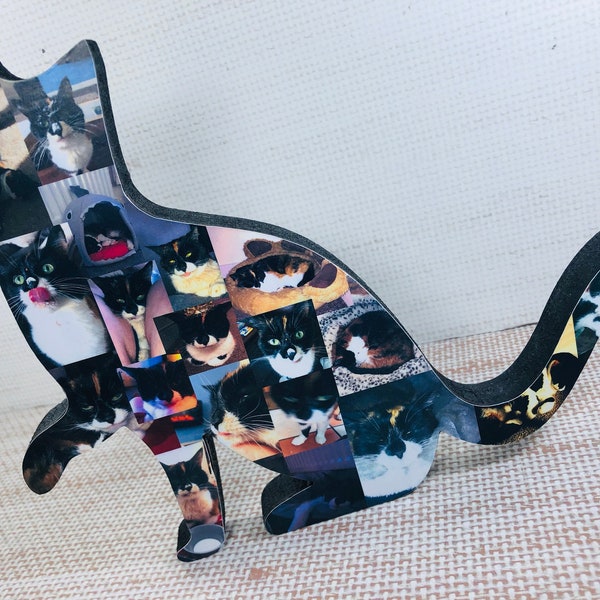 Collage Cat - Etsy