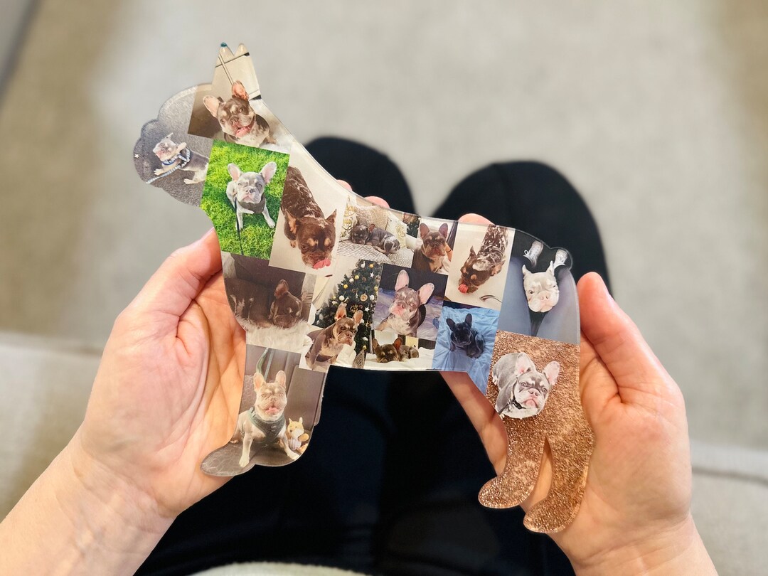 Frenchie / French Bulldog Dog Photo Collage - Etsy