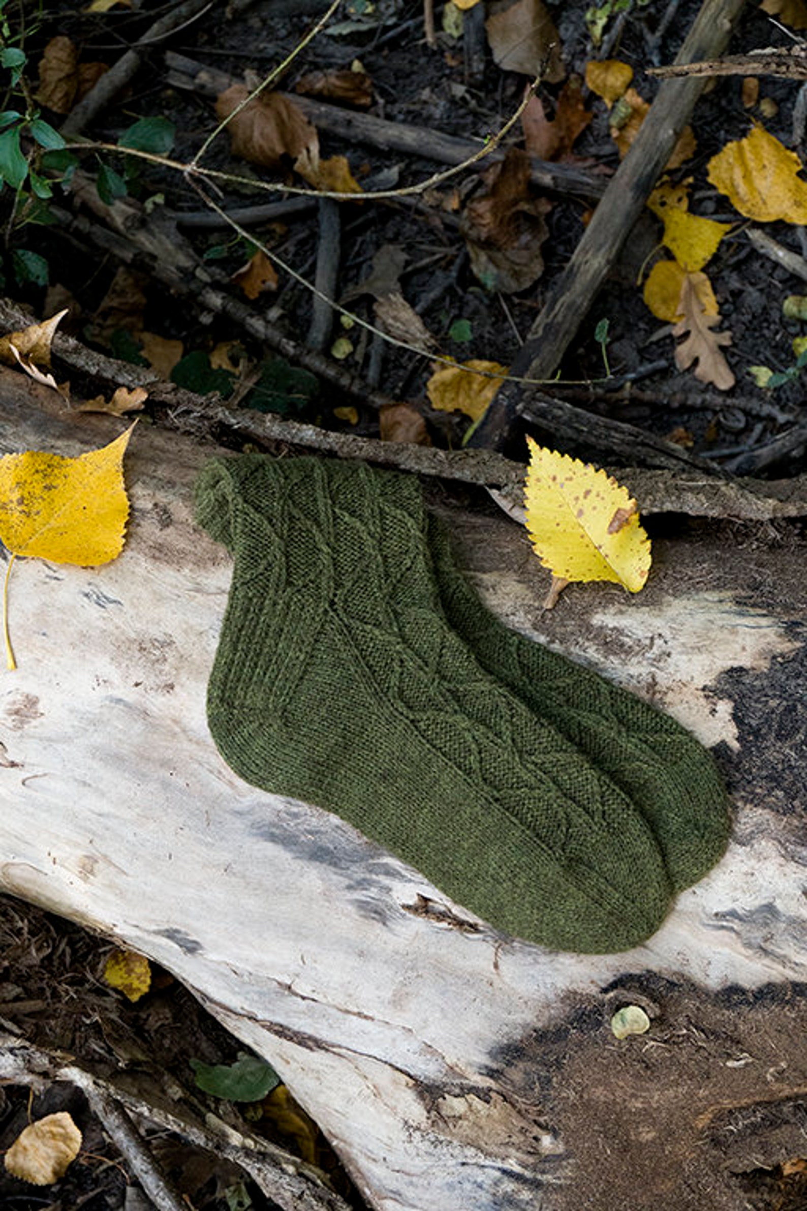 Knit Socks Pattern Easy Sock Pattern Cable Sock Pattern Forest Fable ...